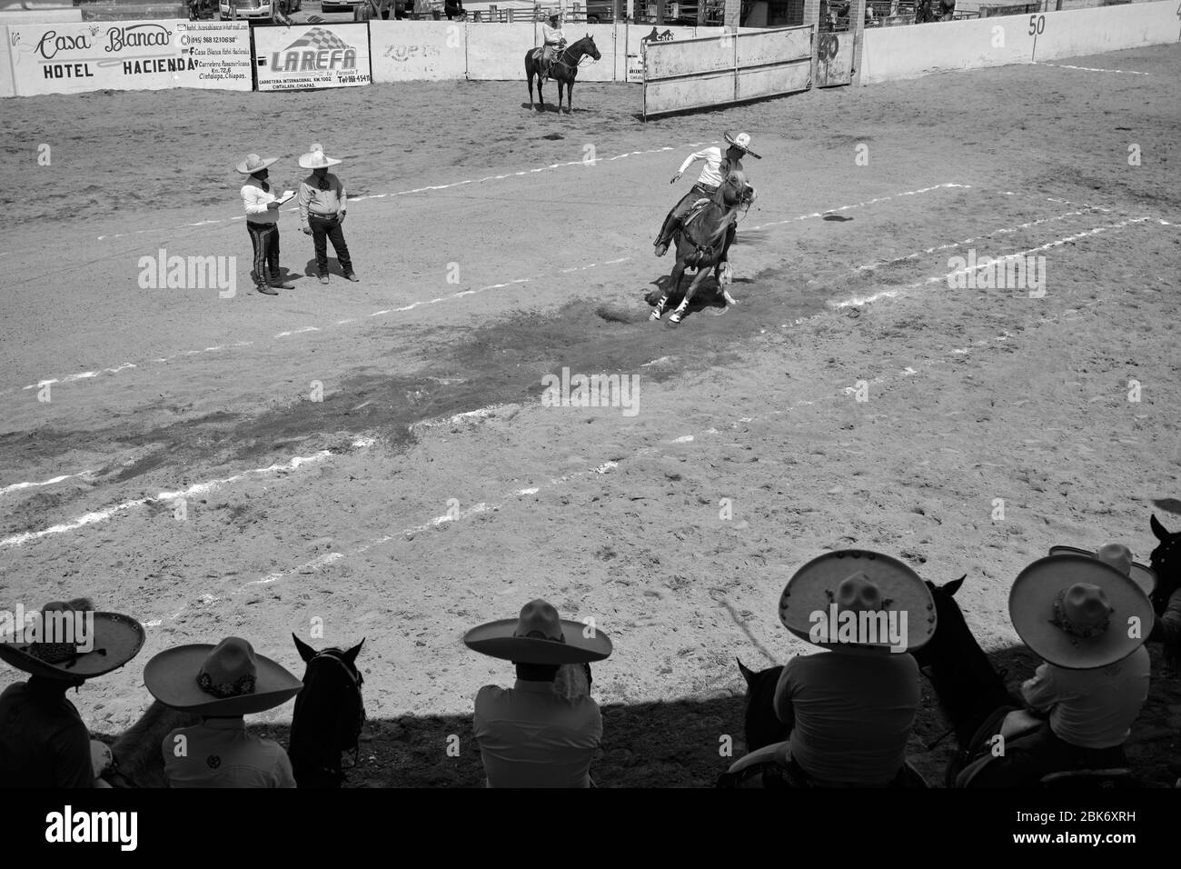 Mexican cowboy showing his skills as a horse rider during a "charreria ...