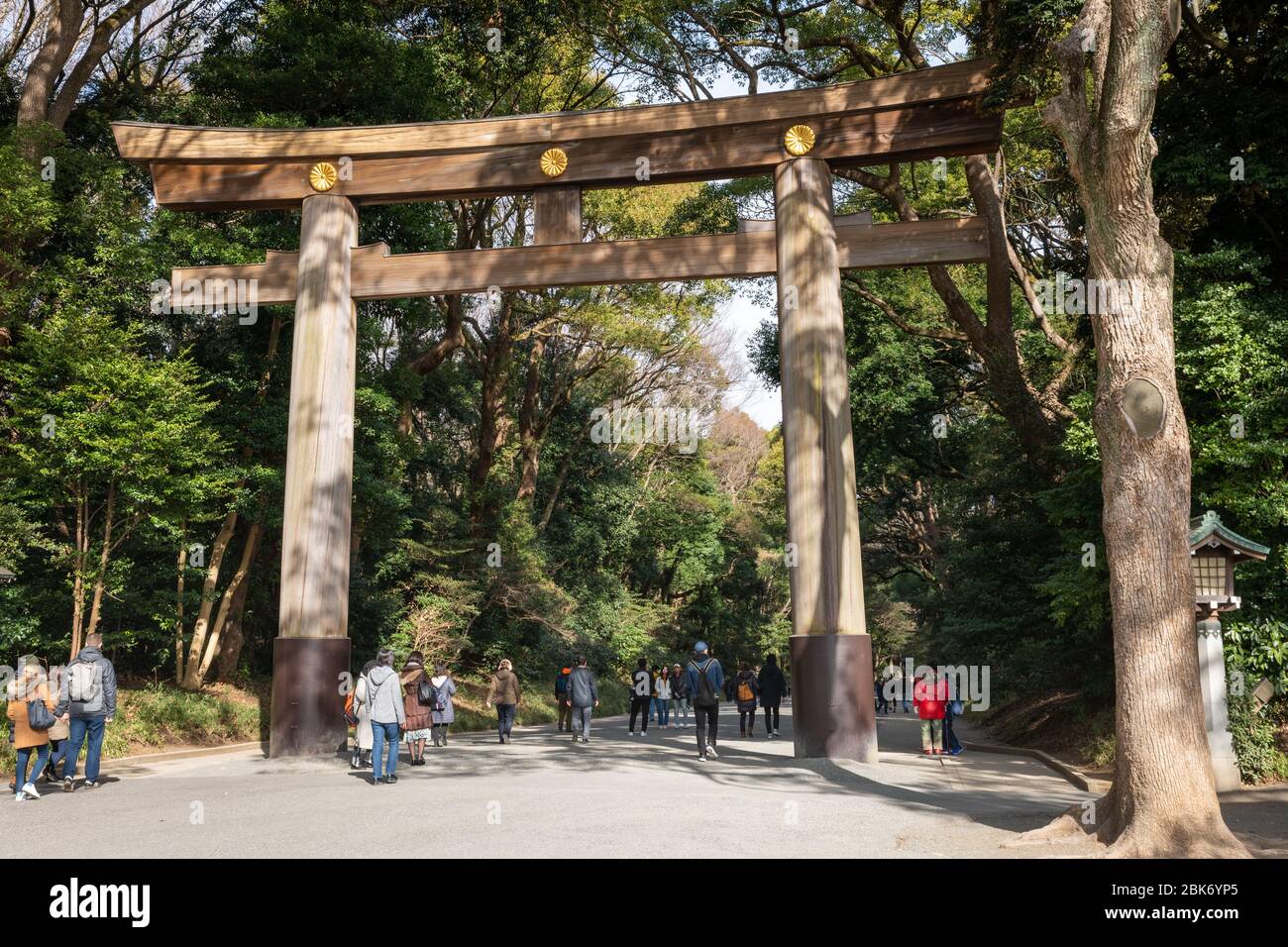 Meiji Shrine Torii gate, Tokyo, Japan Stock Photo - Alamy