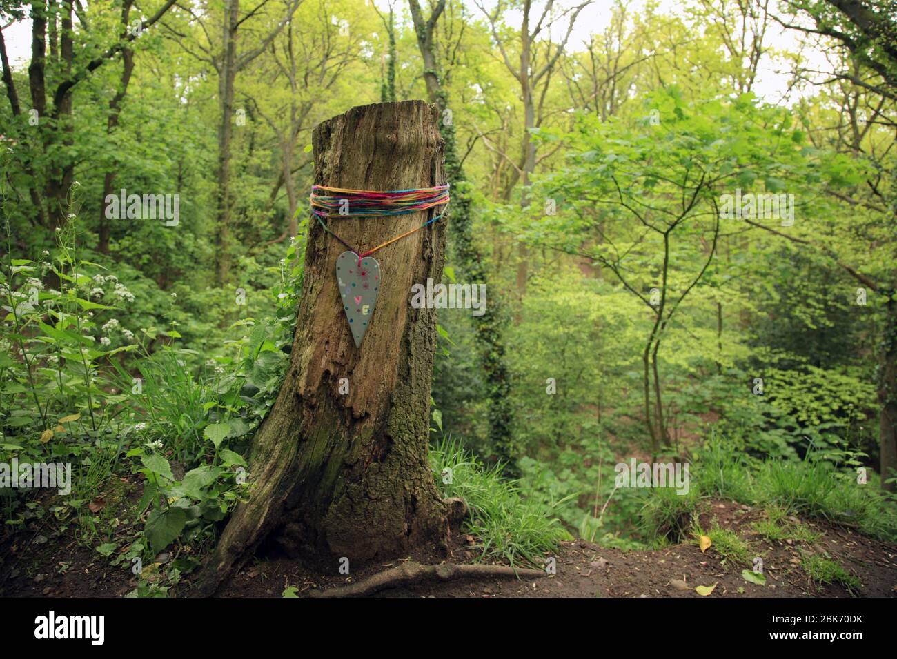 Tribute to the NHS tied to a tree during the Coronavirus, Covid-19 ...