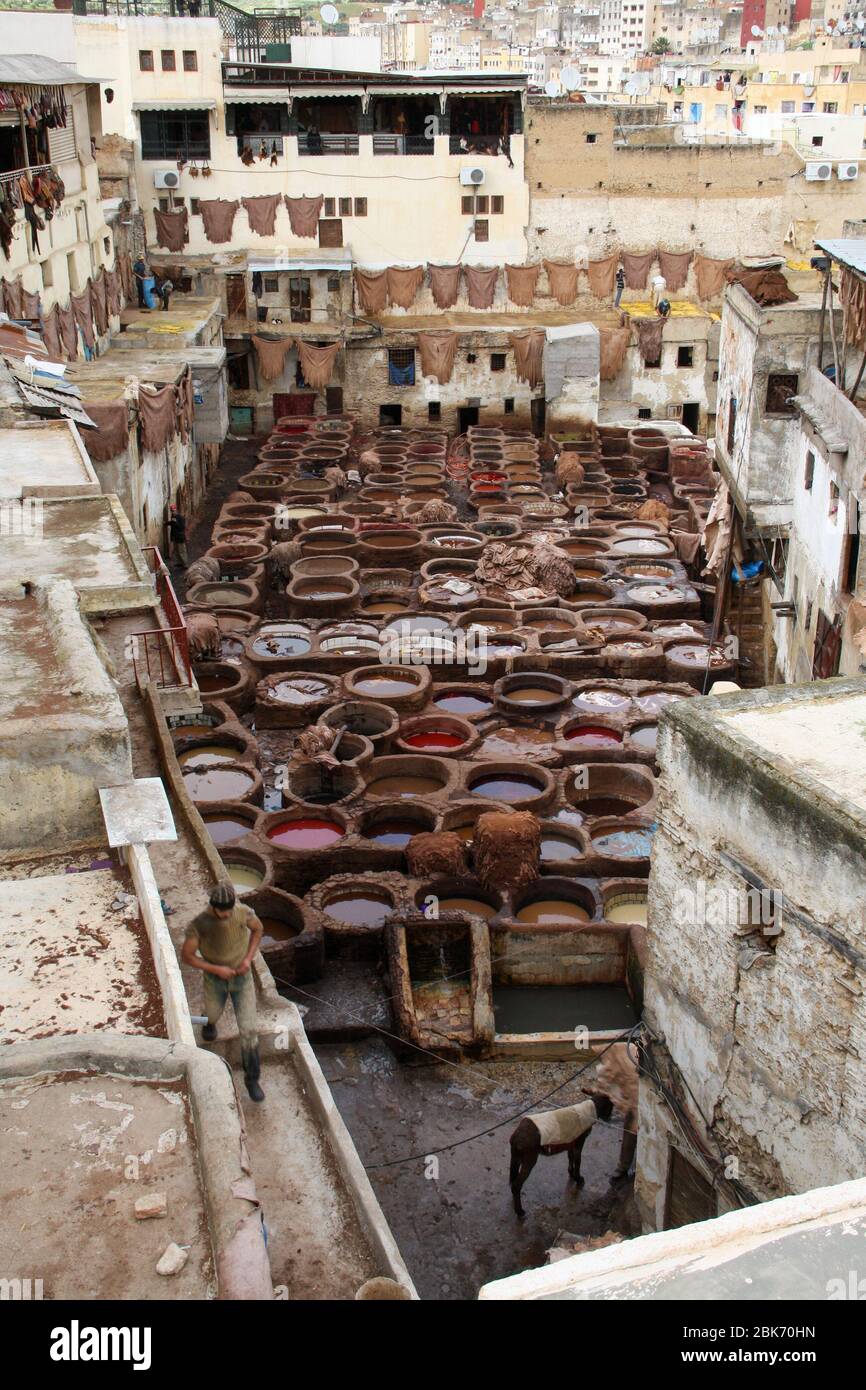Traditional tannery fes hi-res stock photography and images - Alamy