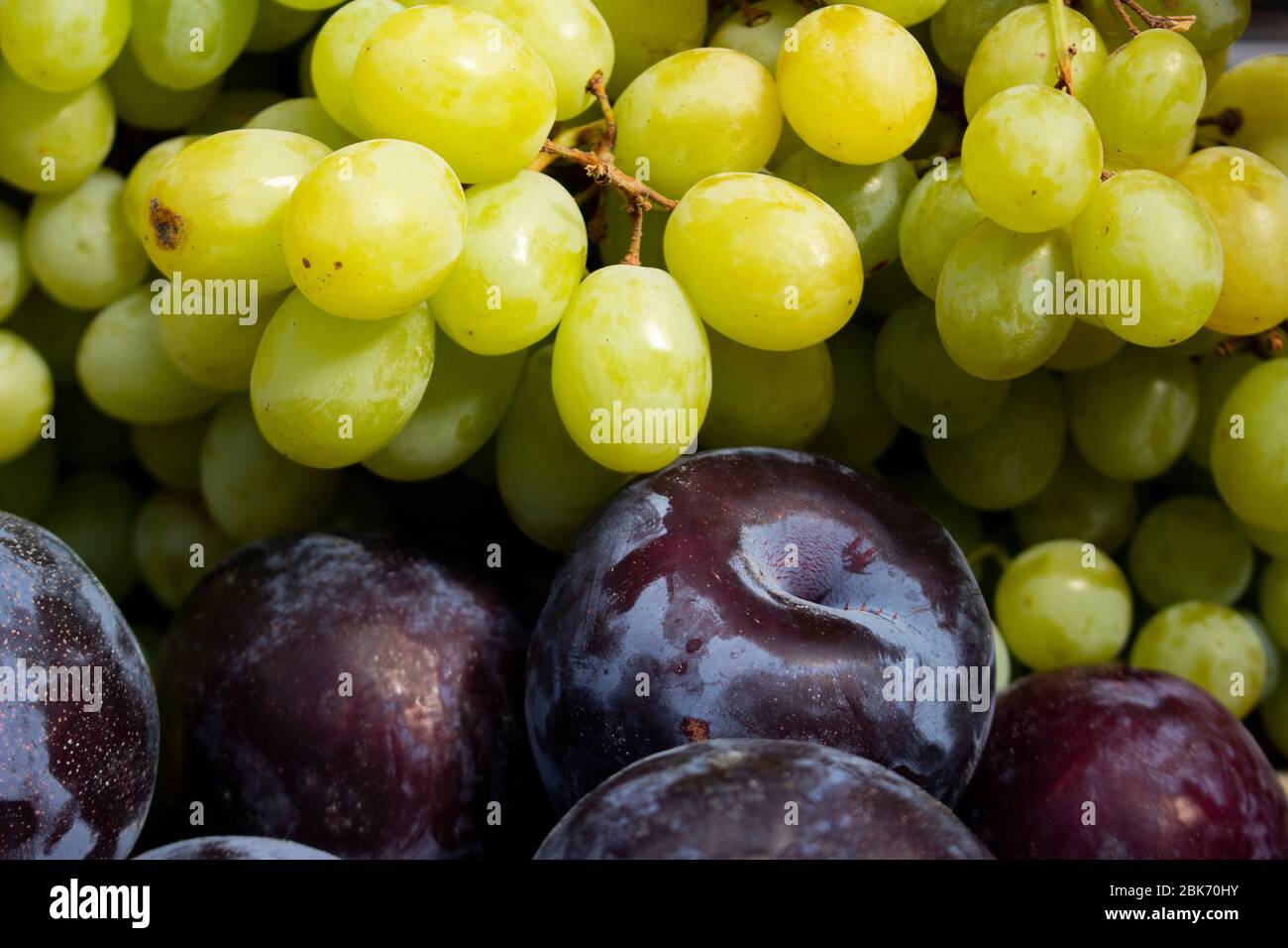 colorful variety waxy fruits on counter of farmer's market green grapes ...