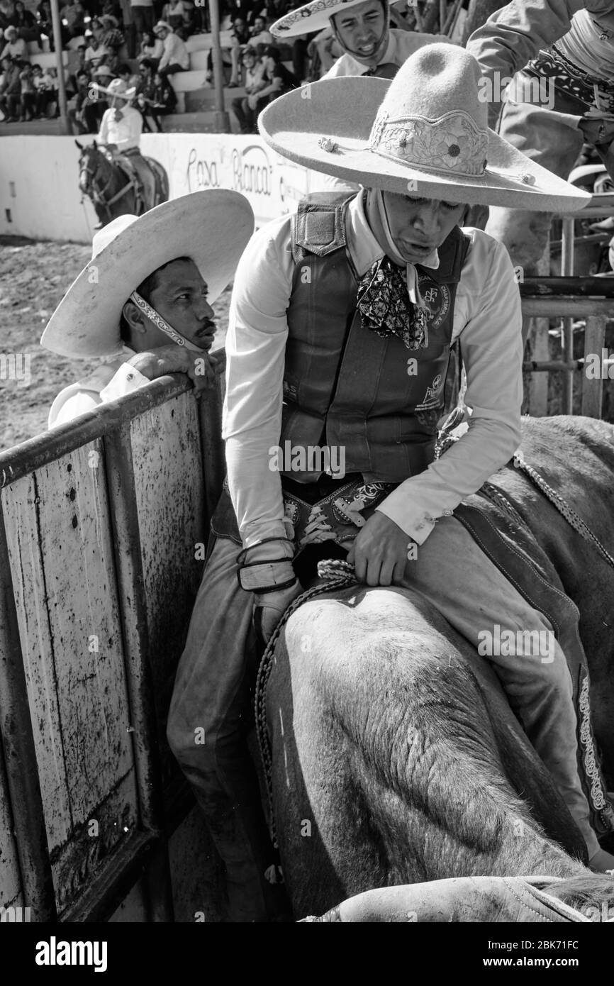 Horses ready to ride hi-res stock photography and images - Alamy