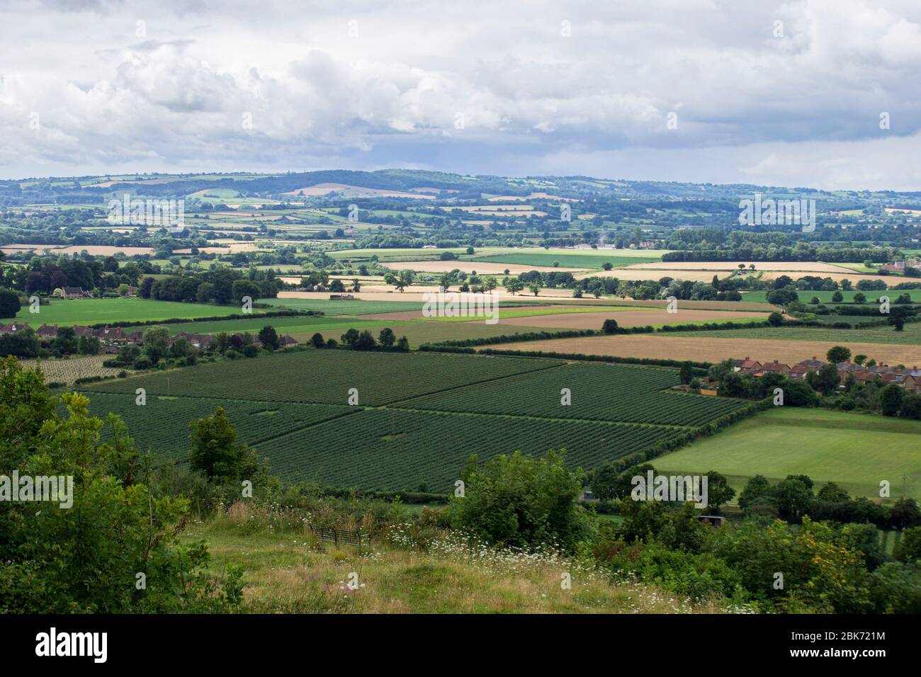 Ham Hill Somerset High Resolution Stock Photography and Images - Alamy
