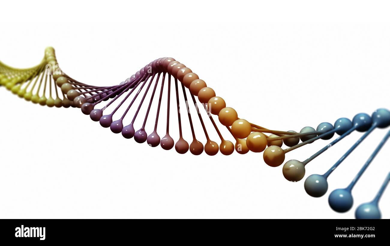 multicolor DNA spiral isolated on white background Stock Photo - Alamy