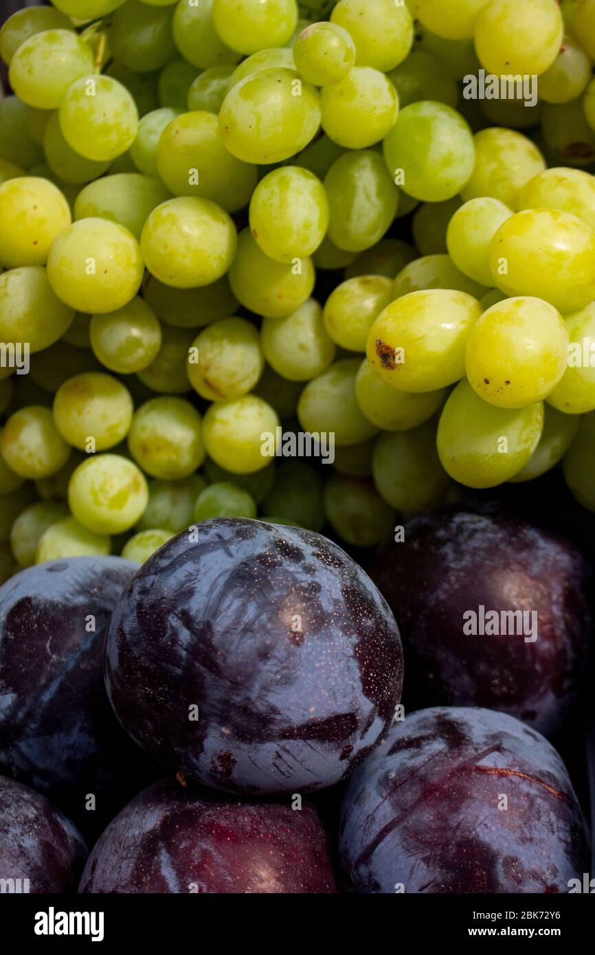 colorful variety of waxy fruits on counter of farmer's market grapes ...