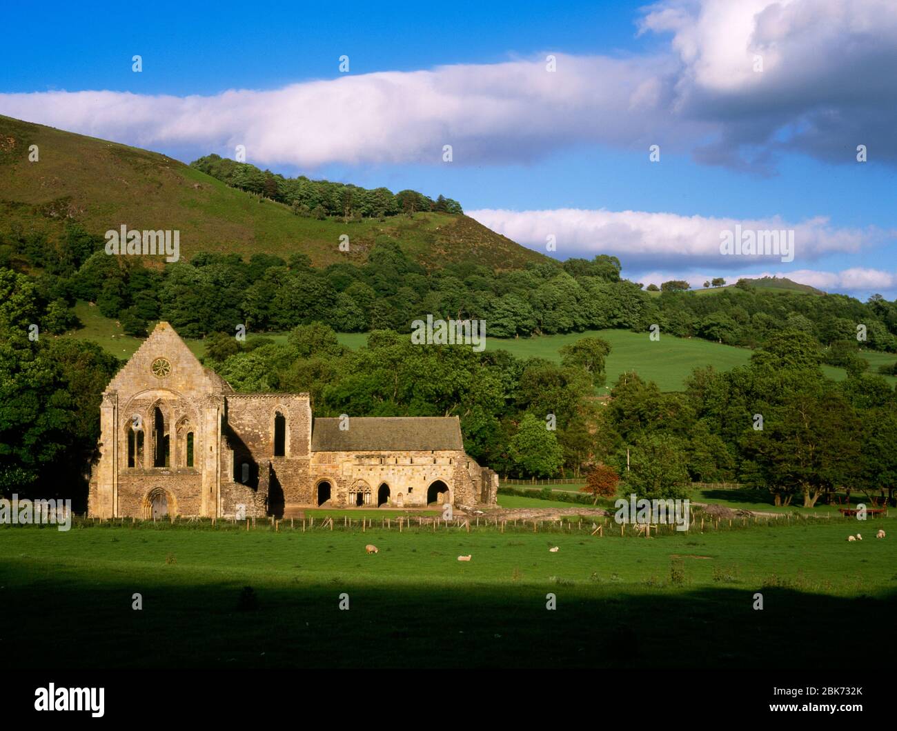 Valle Crucis Abbey seen from road, Llangollen, Denbighshire, Wales ...
