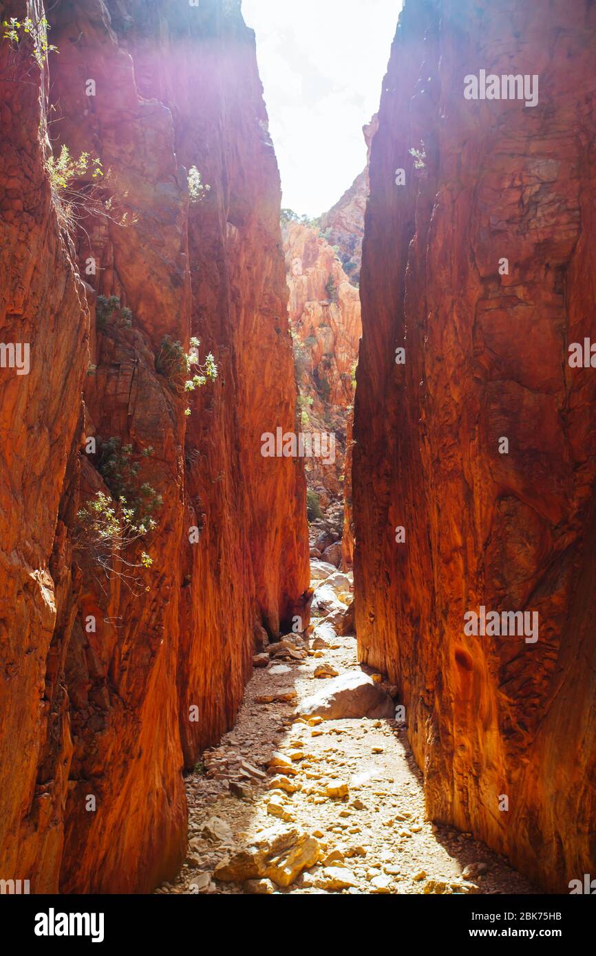 Standley Chasm near Alice Springs in Australia Stock Photo - Alamy