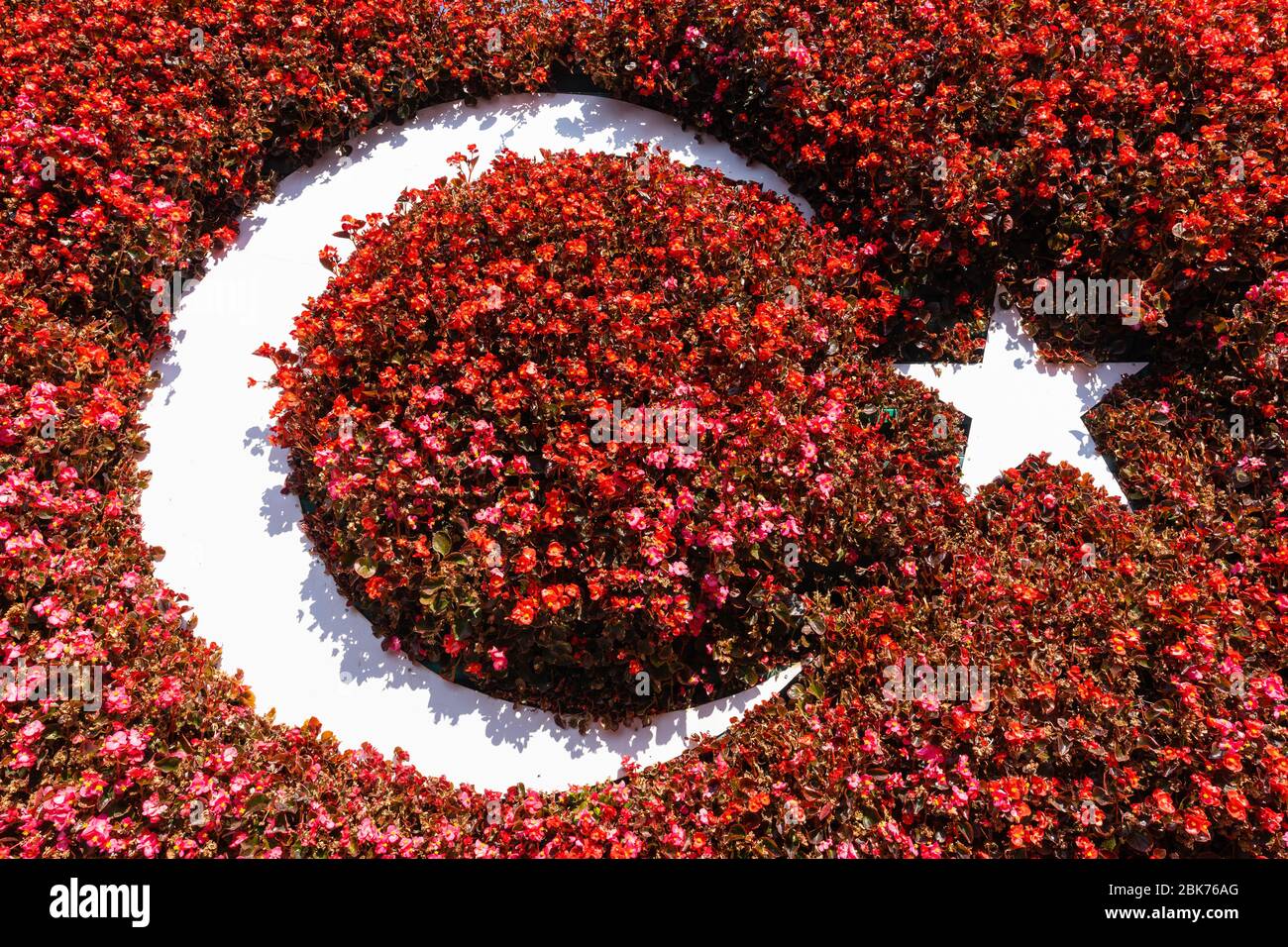 Turkish flag made of red flowers Stock Photo - Alamy