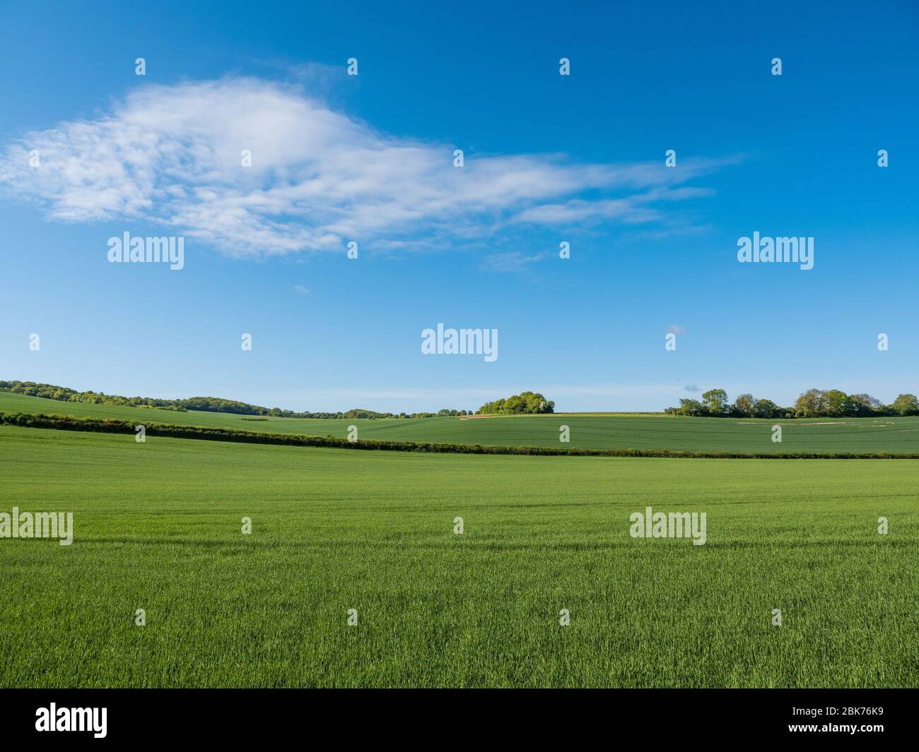 The Chilterns, South Oxfordshire Landscape , England, UK, GB Stock ...