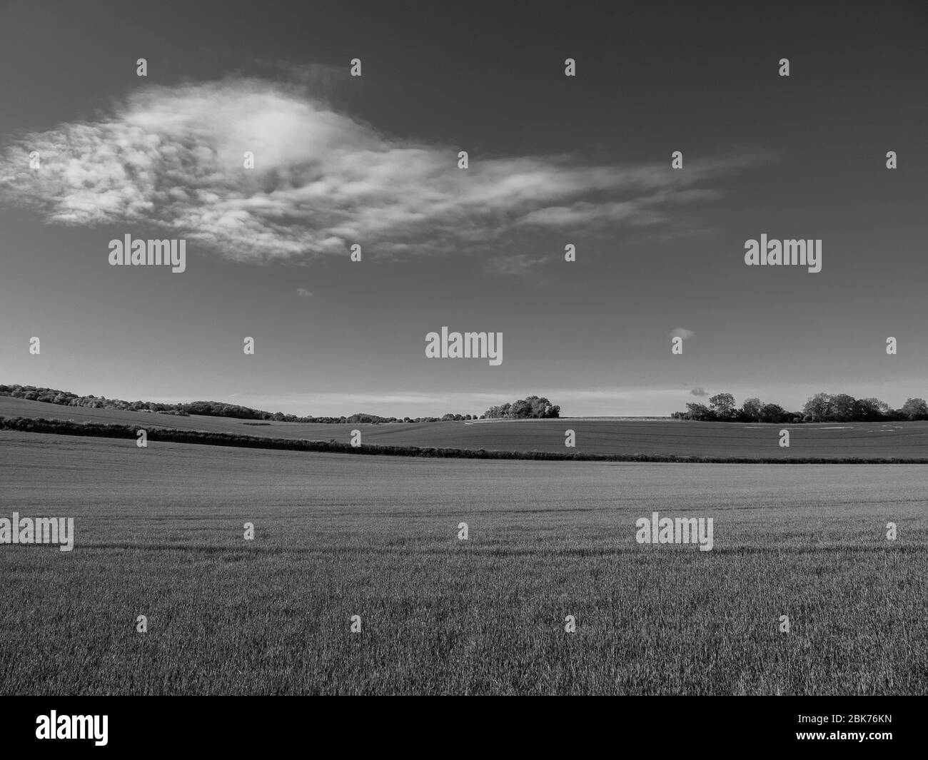 The Chiltern Hills Dramatic Black and White Landscape, Ipsden ...