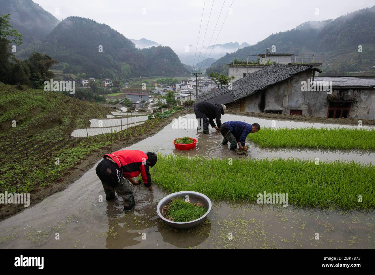 Gongxian. 2nd May, 2020. Photo taken on May 2, 2020 shows villagers ...