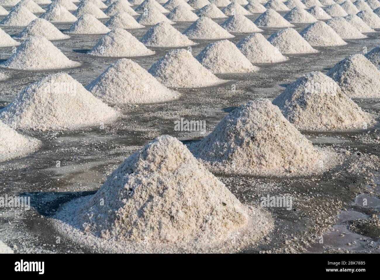 Salt farmers harvesting in hi-res stock photography and images - Alamy