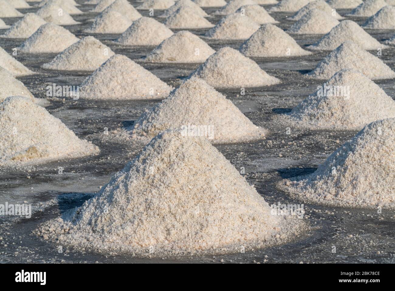 Salt in salt farm ready for harvest, Thailand Stock Photo - Alamy