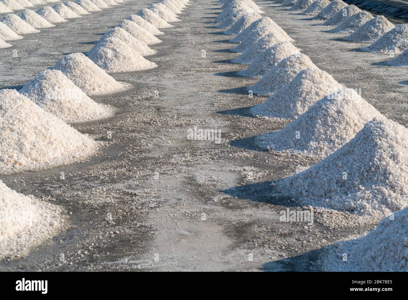 Salt in salt farm ready for harvest, Thailand Stock Photo - Alamy