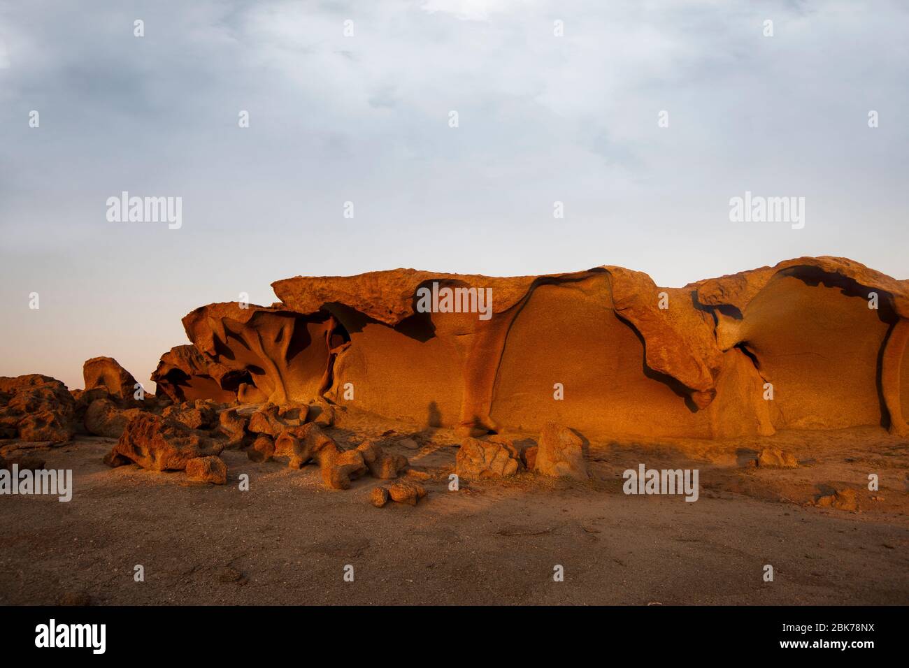 beautiful structures in namib desert rocks and plants Stock Photo - Alamy