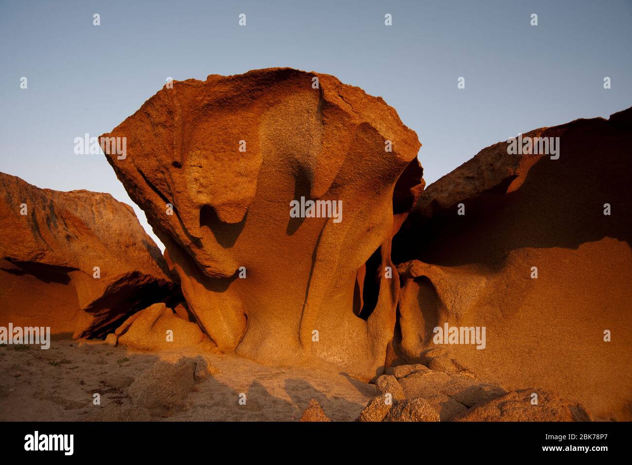 beautiful structures in namib desert rocks and plants Stock Photo - Alamy