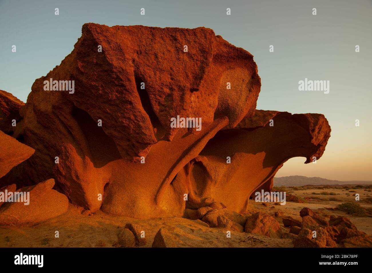 beautiful structures in namib desert rocks and plants Stock Photo - Alamy