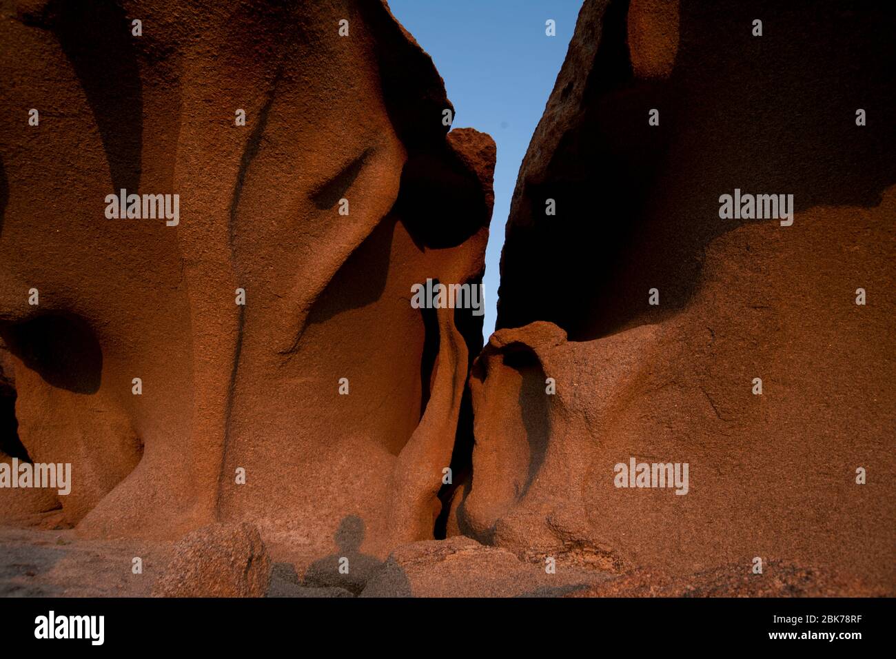 beautiful structures in namib desert rocks and plants Stock Photo - Alamy