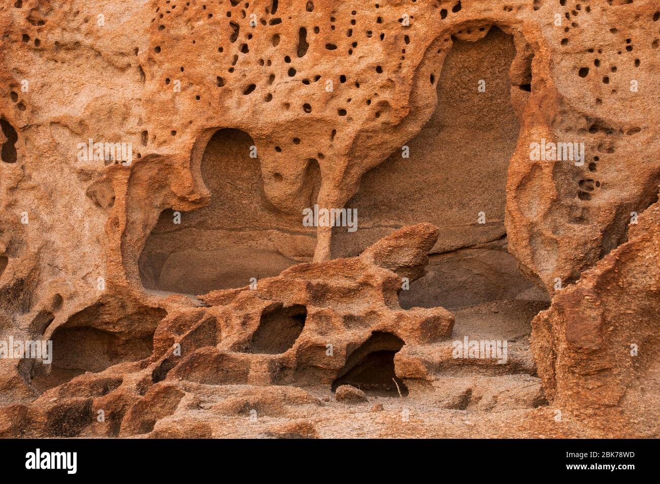 Namib desert fog hi-res stock photography and images - Alamy