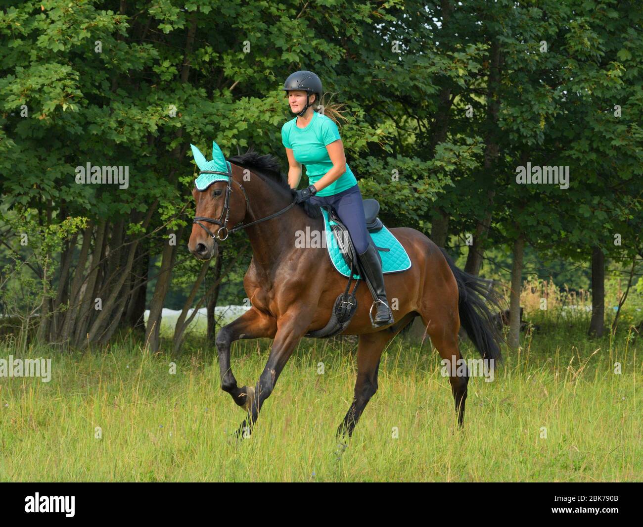 Hacking On Horseback High Resolution Stock Photography and Images - Alamy