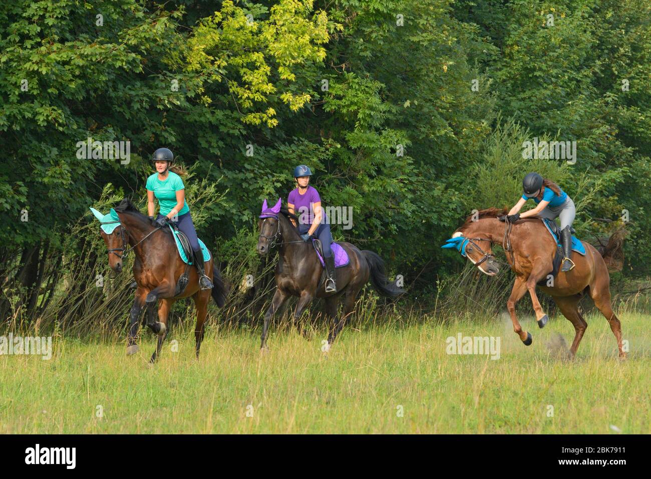 Group of three female horse riders hi-res stock photography and images ...