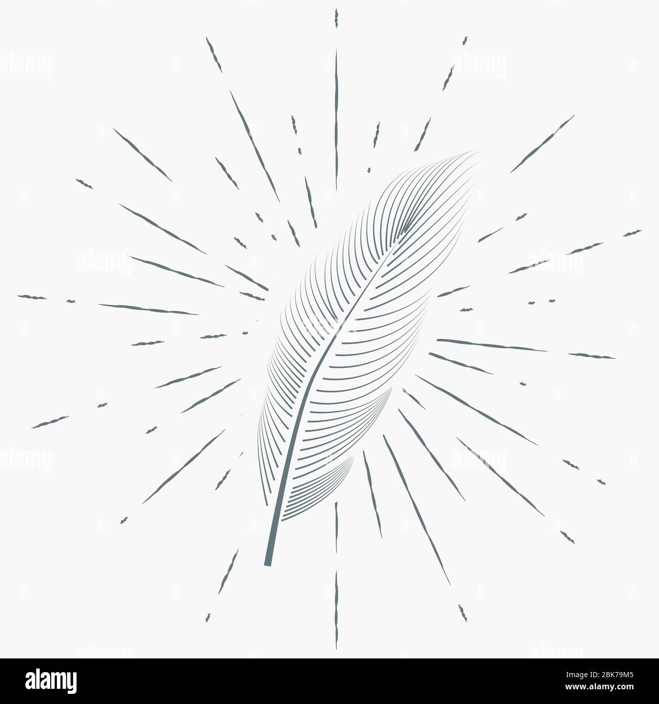 Feather rays Cut Out Stock Images & Pictures - Alamy
