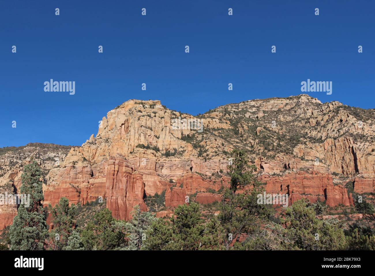 Red sandstone and white limestone mountain with trees in the foreground ...