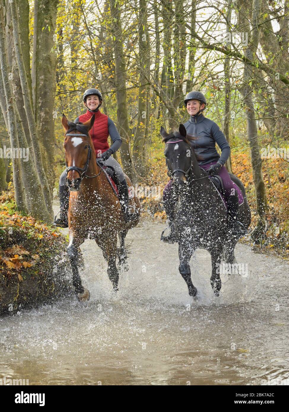 Two Horseback Riders High Resolution Stock Photography and Images - Alamy