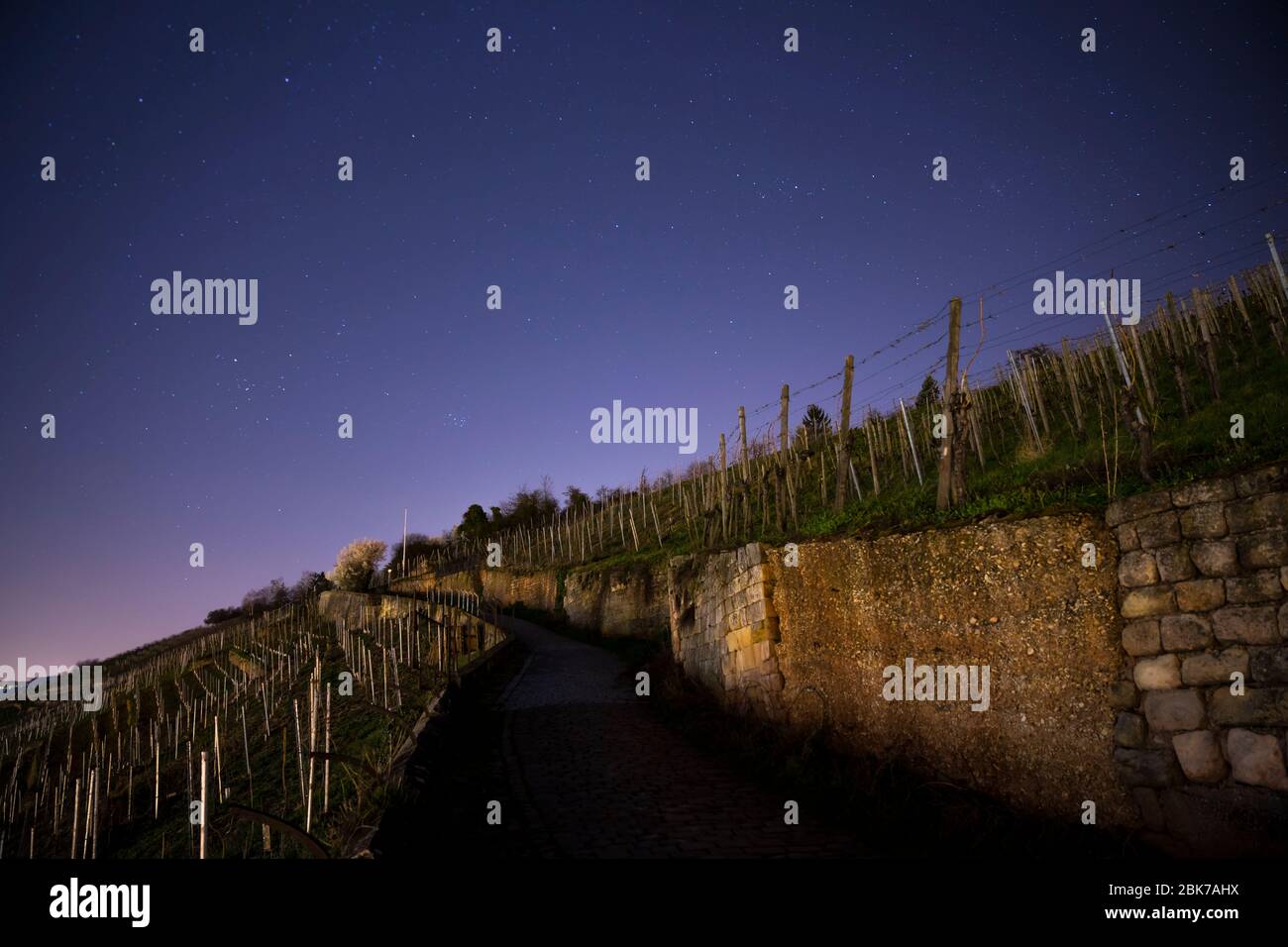 Germany, Esslingen am Neckar, Starry night sky full of stars moving ...