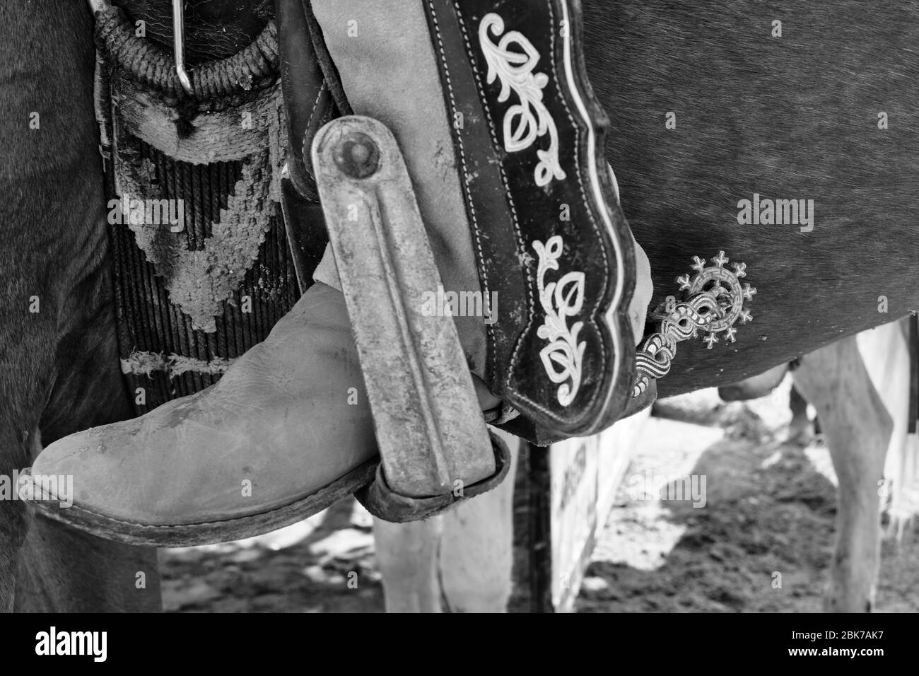 Spur detail hi-res stock photography and images - Alamy
