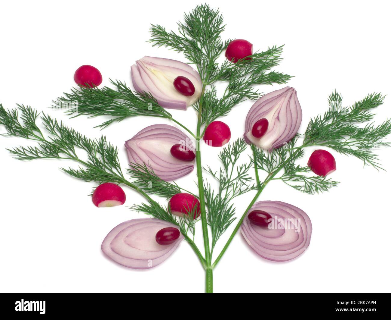 Sprig spring onion vegetable hi-res stock photography and images - Alamy