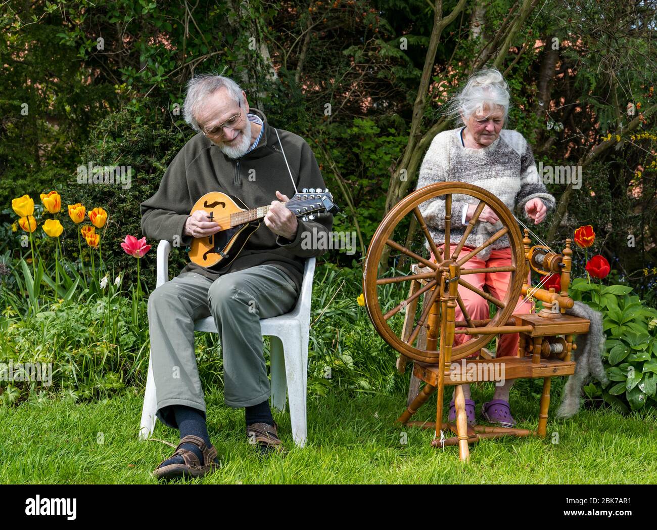 Woman playing mandolin hi-res stock photography and images - Alamy