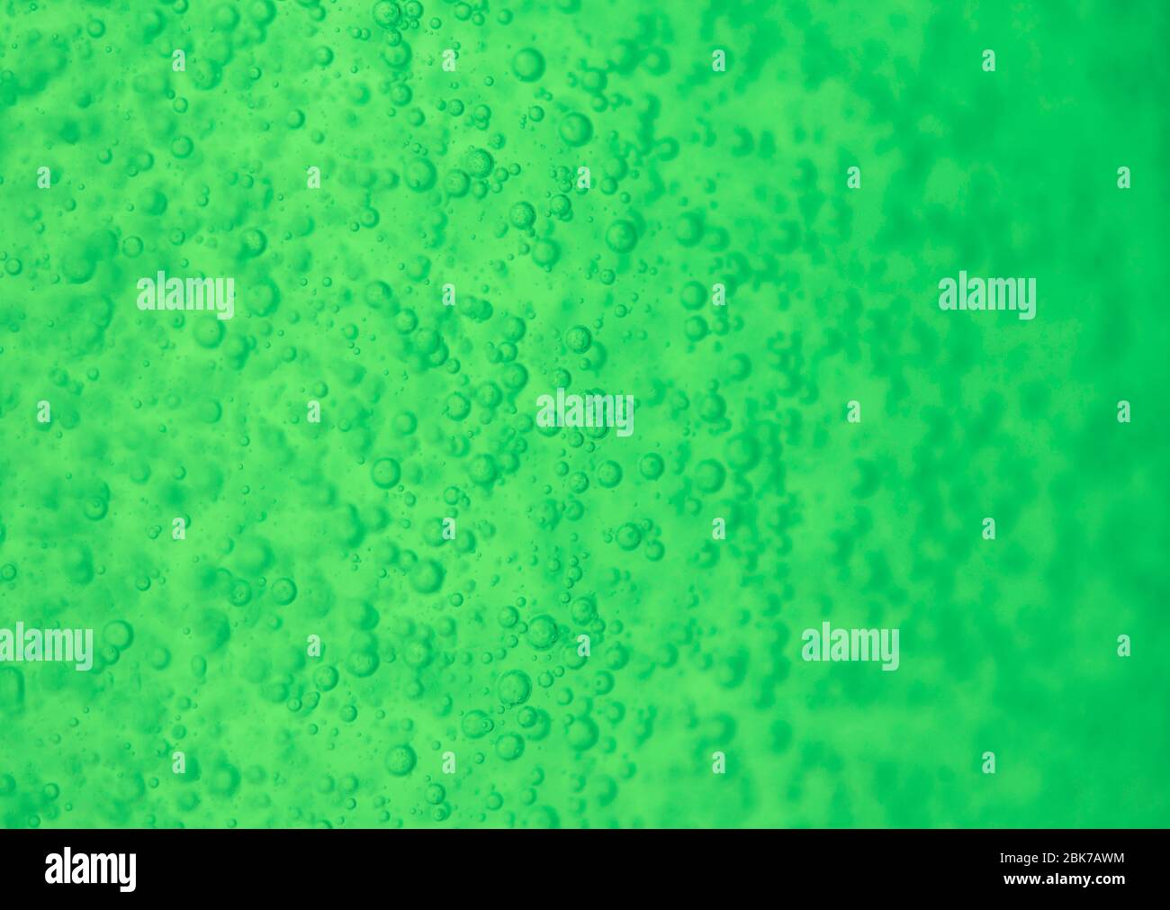 Celadon, vivid bright green liquid with bubbles Stock Photo - Alamy