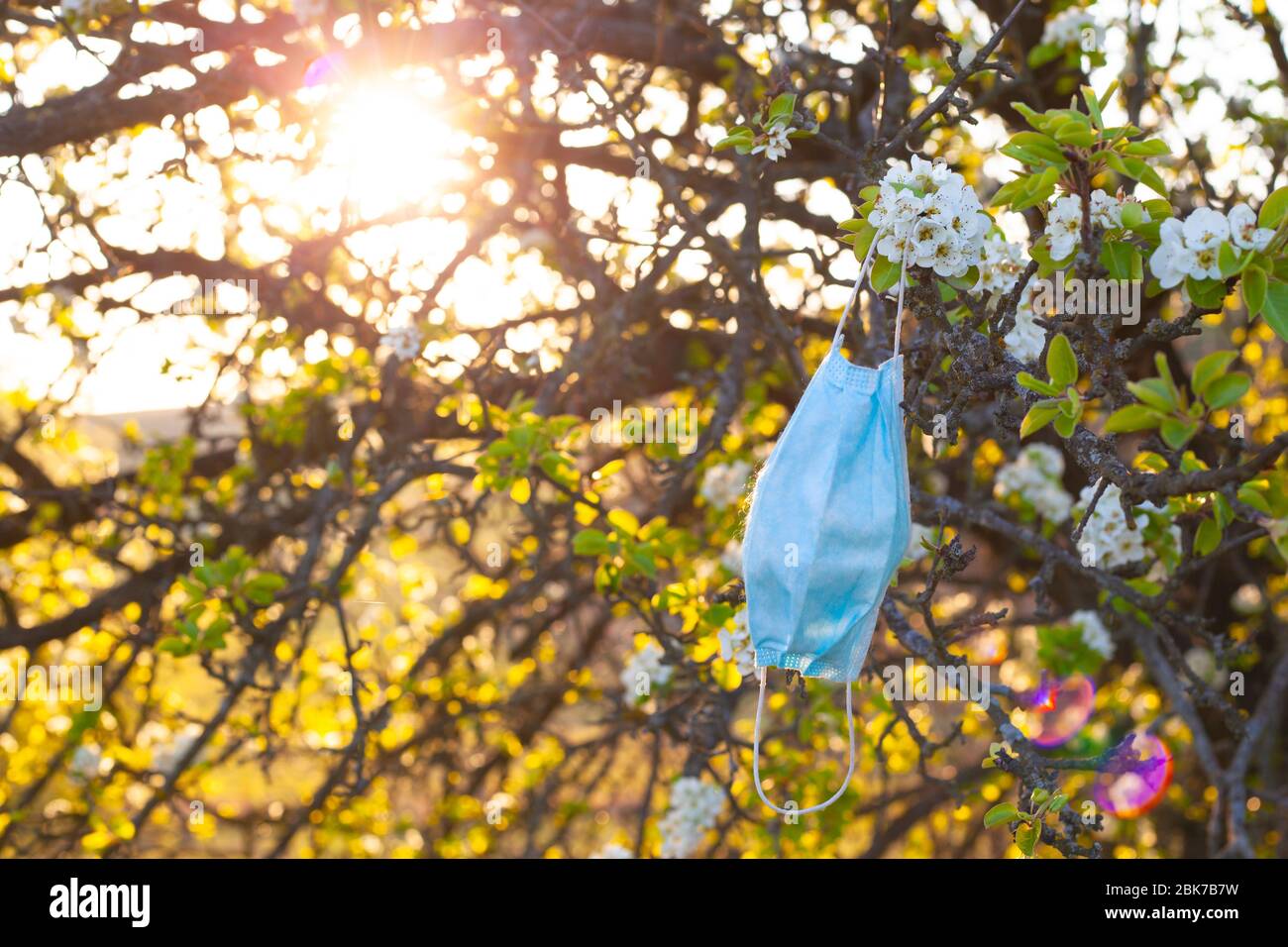 environmental pollution, used infectious masks are thrown during the ...