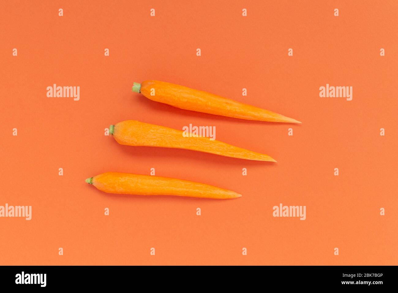 clean fresh carrots on orange clear background, monochrome image ...