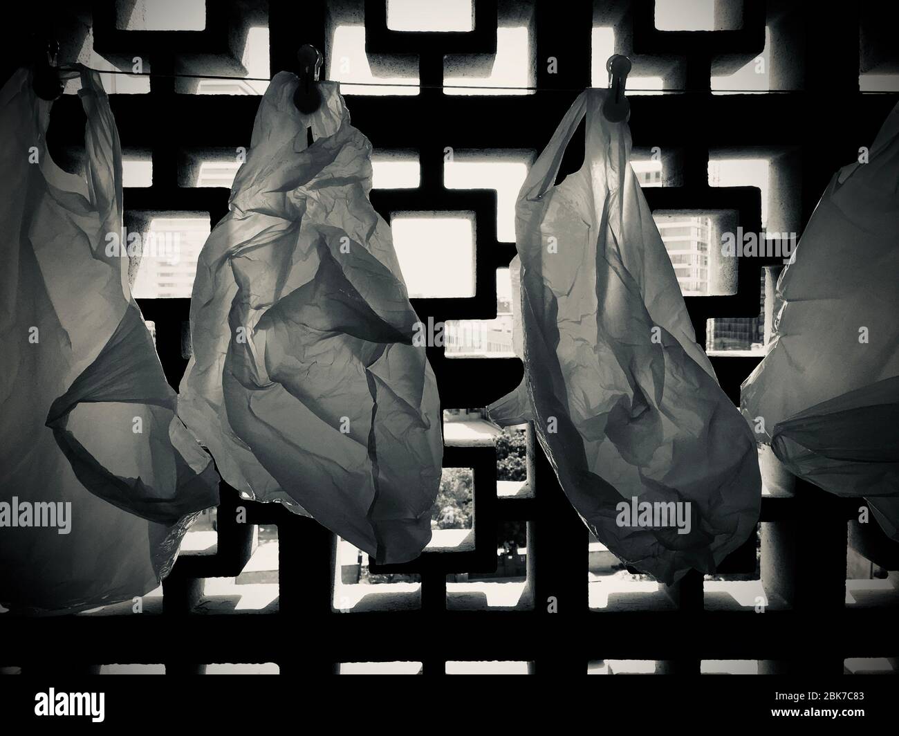 Plastic bags hanging on the rope Stock Photo - Alamy