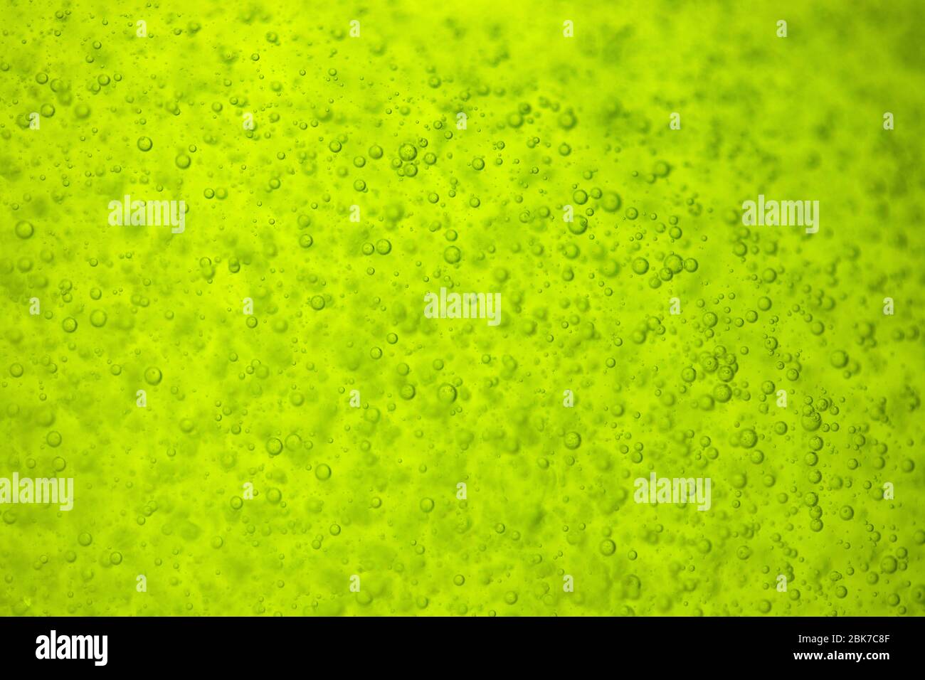 Celadon, vivid bright green liquid with bubbles Stock Photo - Alamy