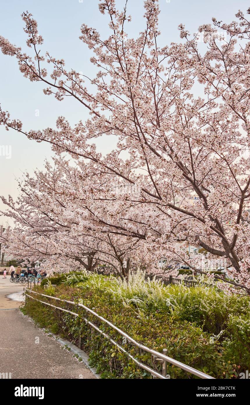 Shin kobe station hi-res stock photography and images - Alamy