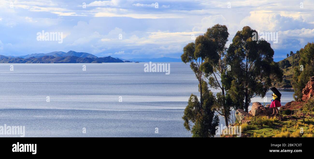 Peruvian Weaver by a tree facing the Titicaca lake Stock Photo - Alamy