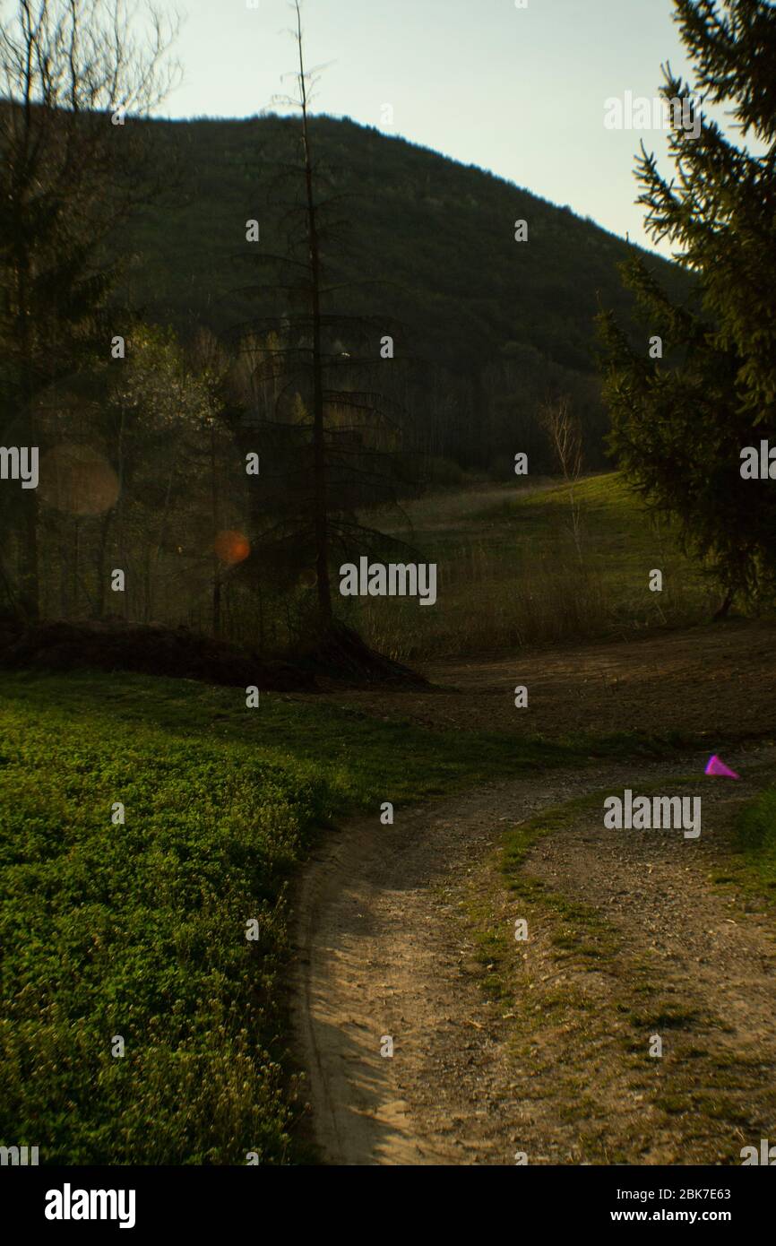 Spring on mountain Beljanica, Serbia Stock Photo - Alamy