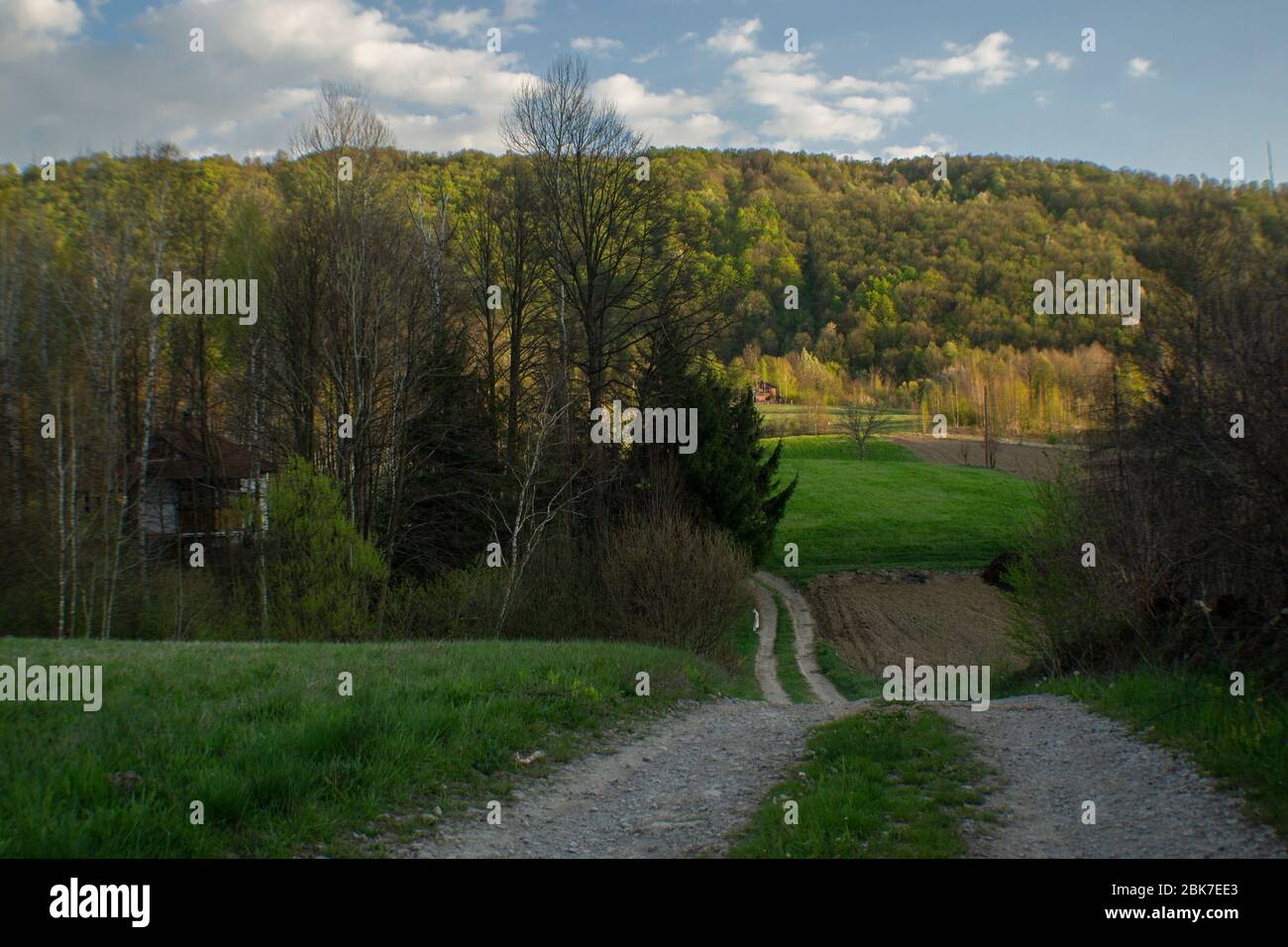 Spring on mountain Beljanica, Serbia Stock Photo - Alamy