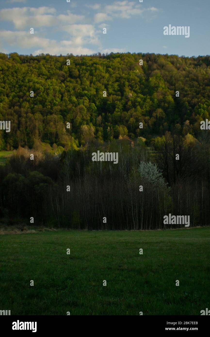 Spring on mountain Beljanica, Serbia Stock Photo - Alamy