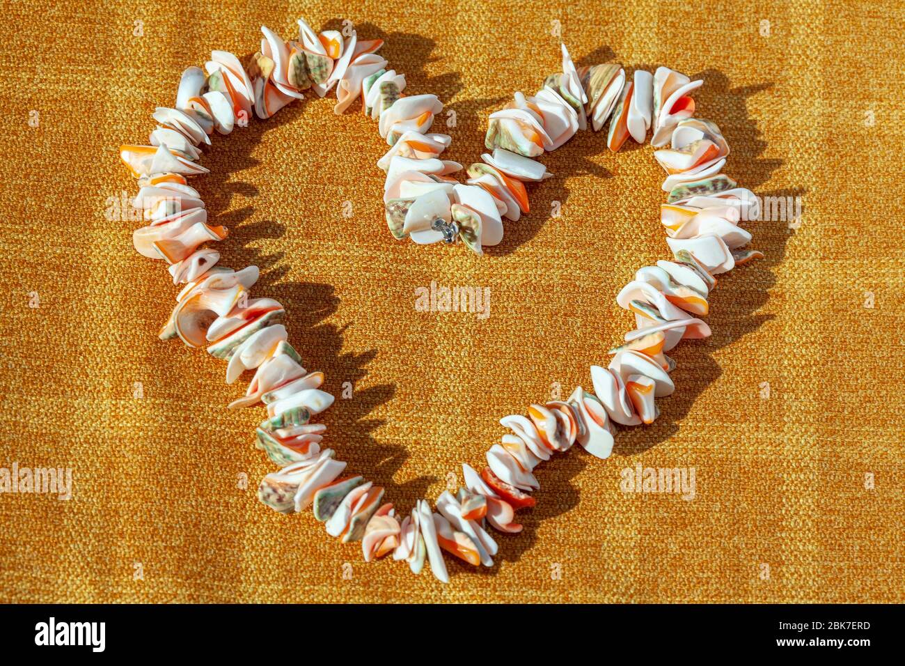 Seashell frame and craft hi-res stock photography and images - Alamy
