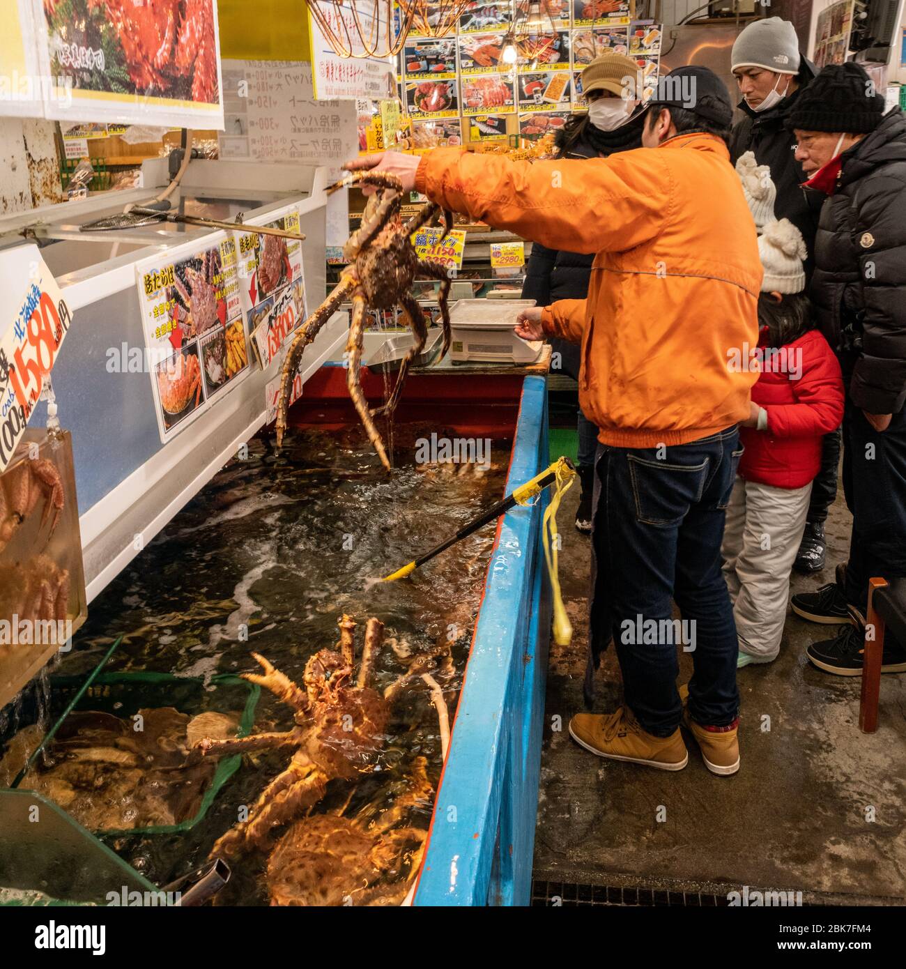 Japanese spider crab hi-res stock photography and images - Alamy