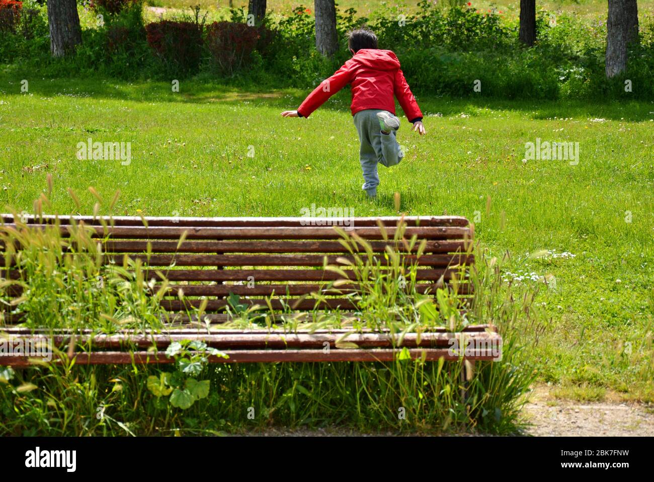 Full of plants hi-res stock photography and images - Alamy