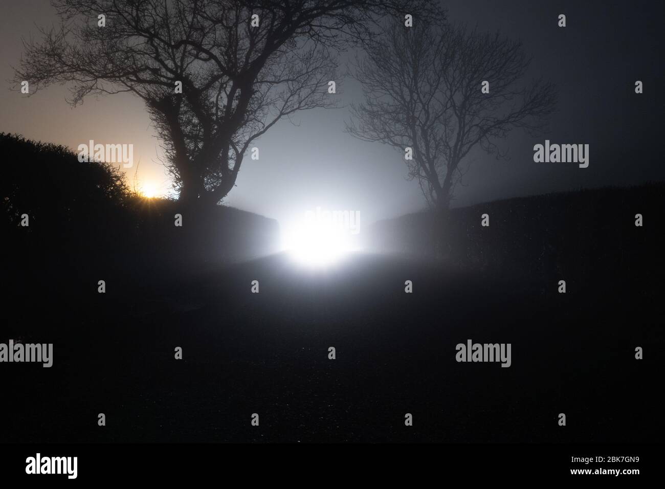 A country lane. on a foggy evening. Surrounded by glowing lights Stock ...