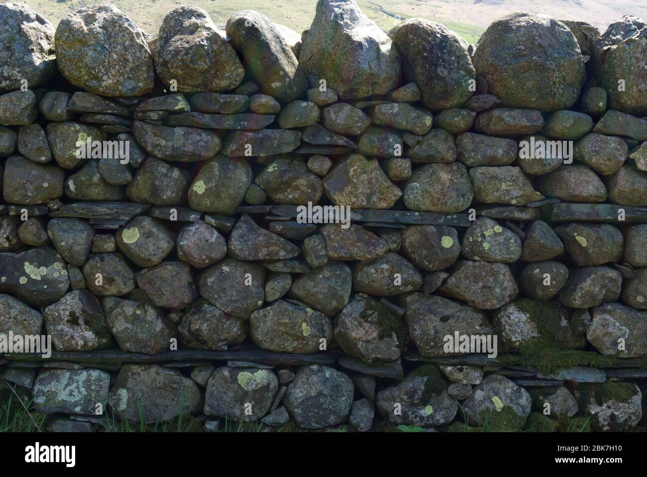 Section of English dry stone wall construction formed of square and ...