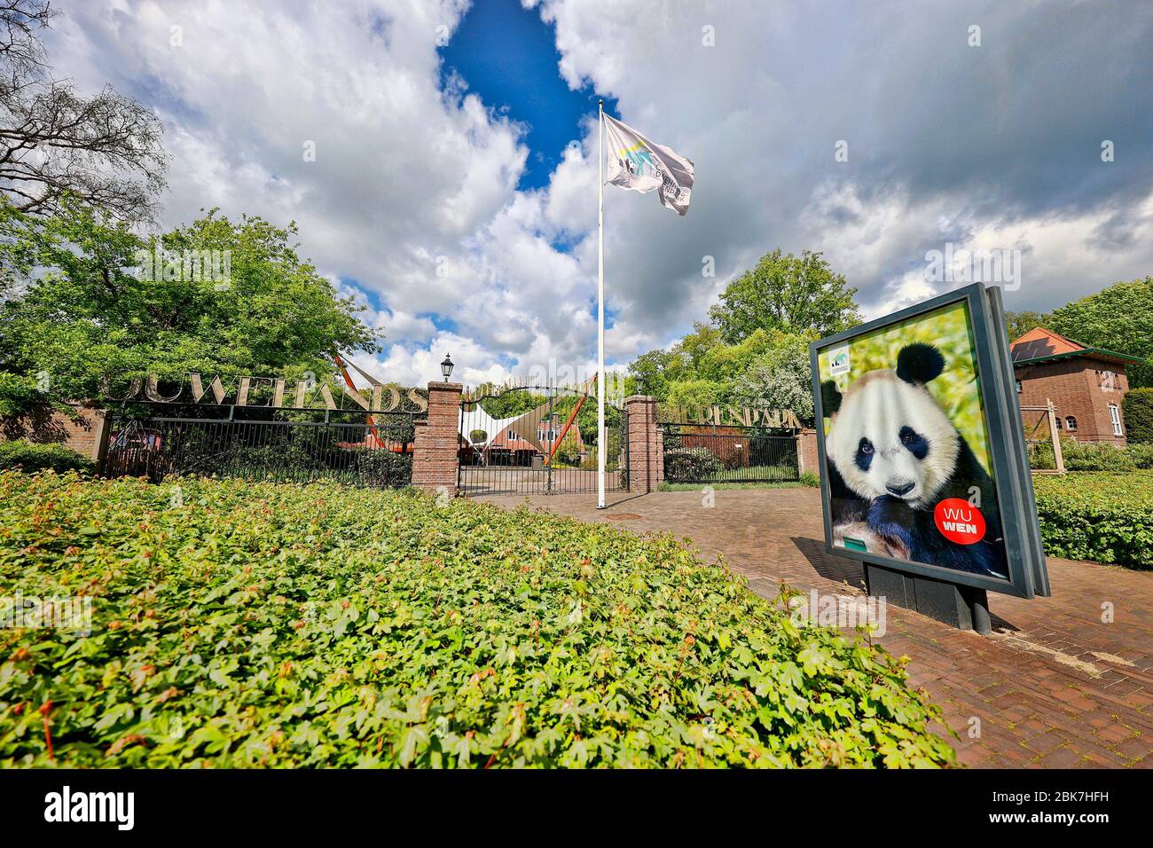 Baby panda bears hi-res stock photography and images - Alamy