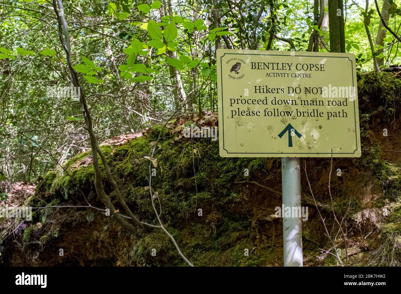 Bentley copse activity centre hi-res stock photography and images - Alamy
