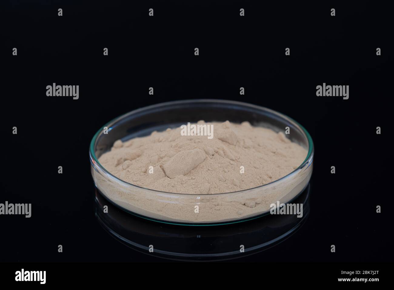 Calcium carbonate salt in petri dish on black background Stock Photo ...